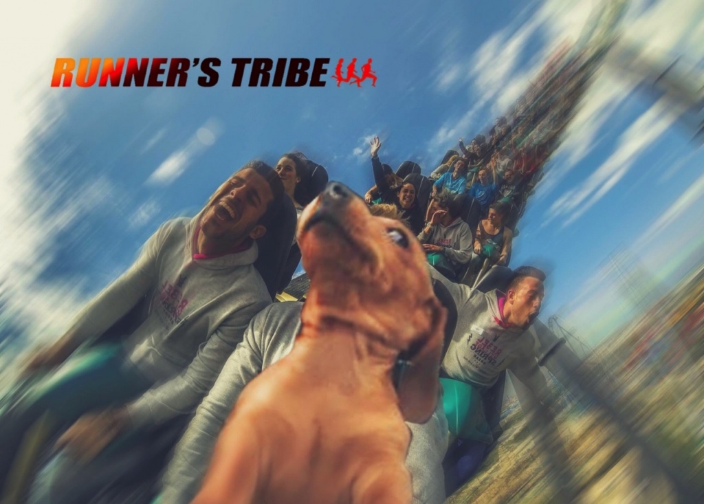 Stanley The Sausage Dog, Mike Tyson, Seinfeld, and Running: Interview ...